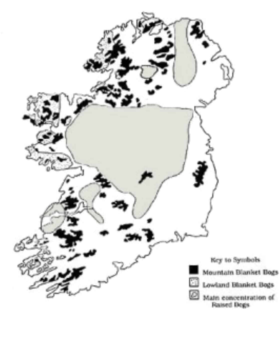 The Bogwood Story from Celtic Roots